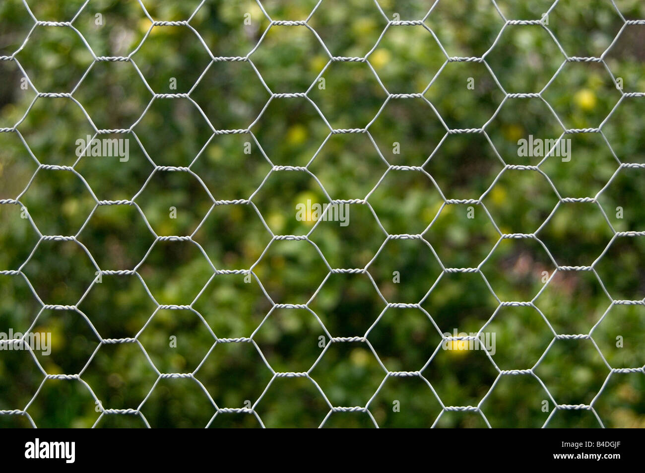Hexagonal wire fence Stock Photo - Alamy