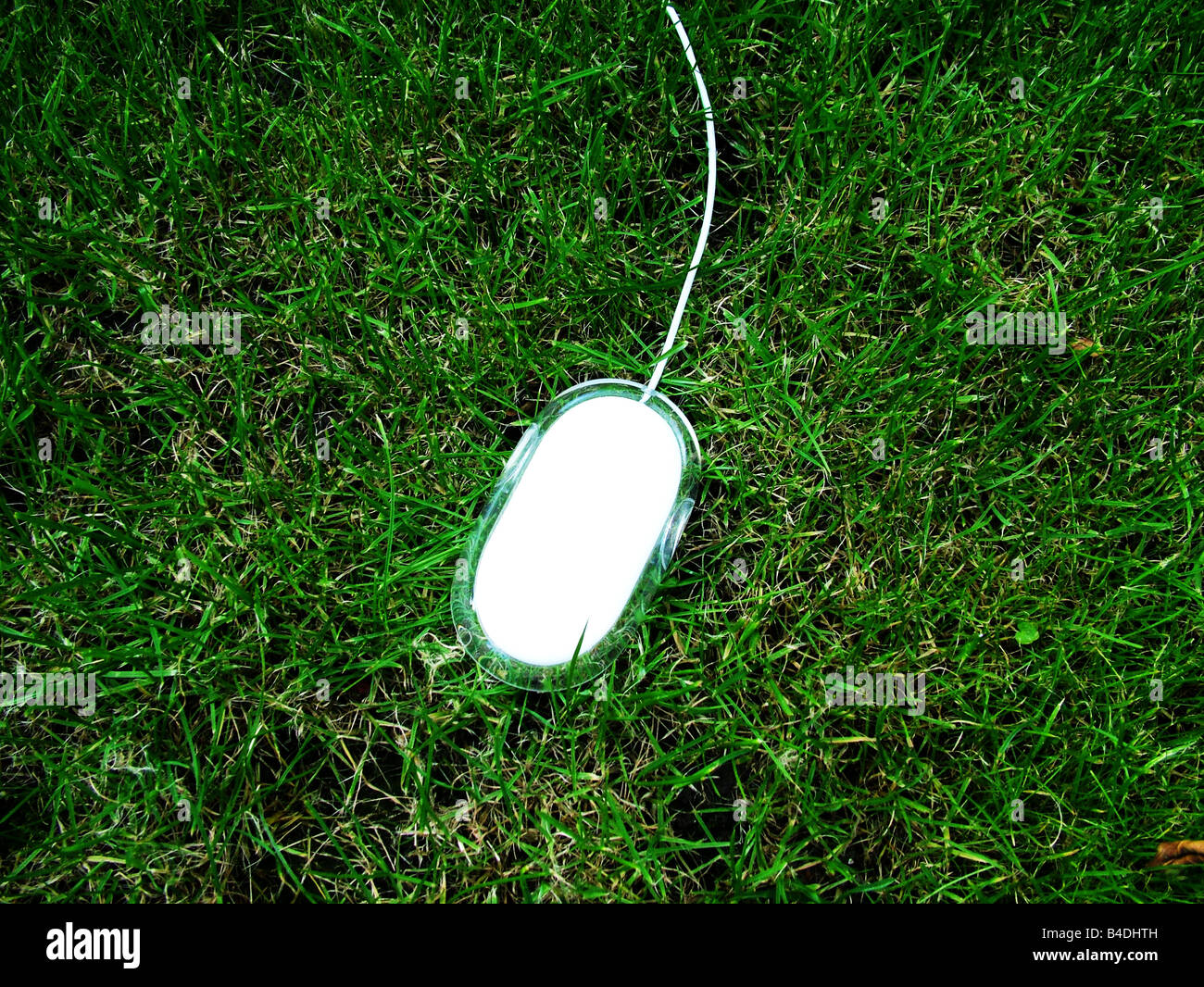 Intellimouse hi-res stock photography and images - Alamy
