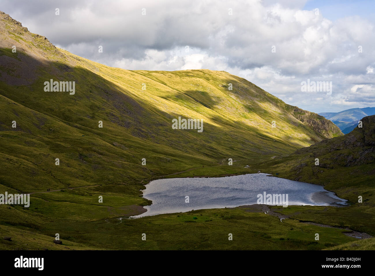Sty head hi-res stock photography and images - Alamy
