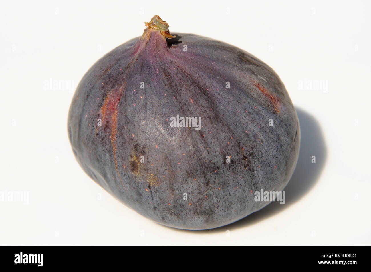 Fig images hi-res stock photography and images - Alamy