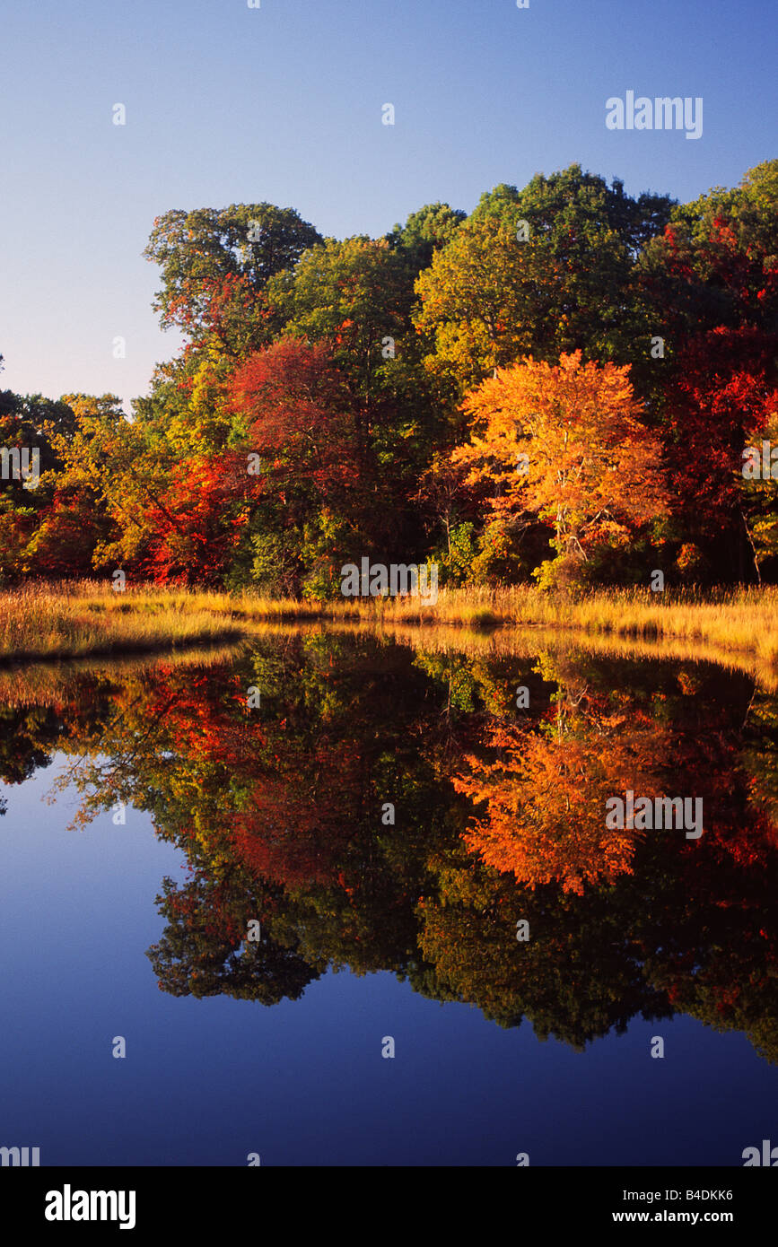 Chesapeake mill hi-res stock photography and images - Alamy