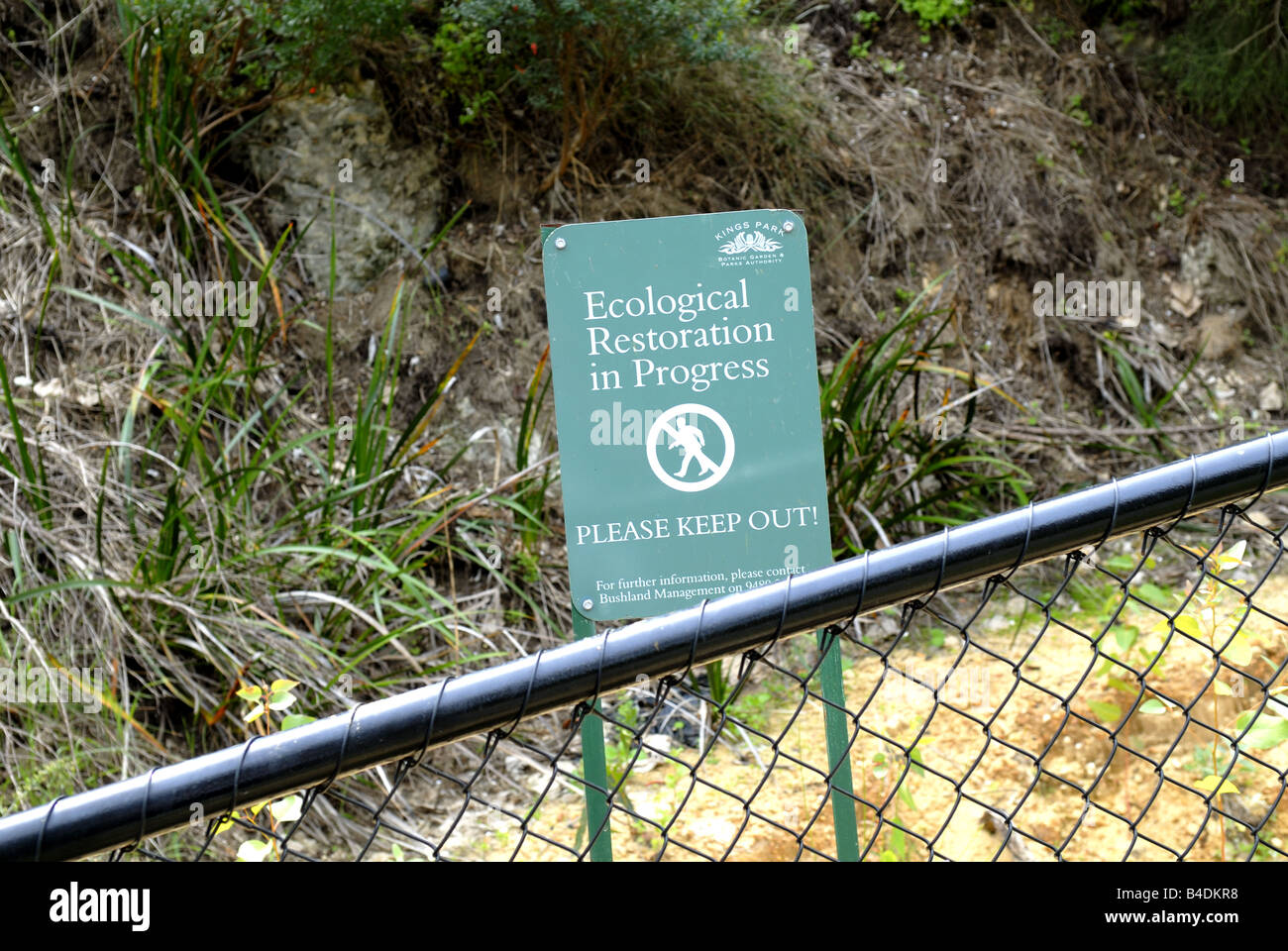 Ecological restoration hi-res stock photography and images - Alamy