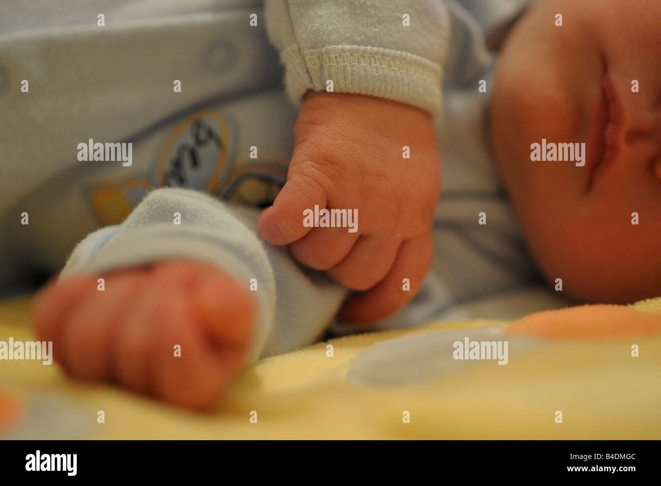 newborn baby boy blue hands precious innocence pure beautiful new fresh ...