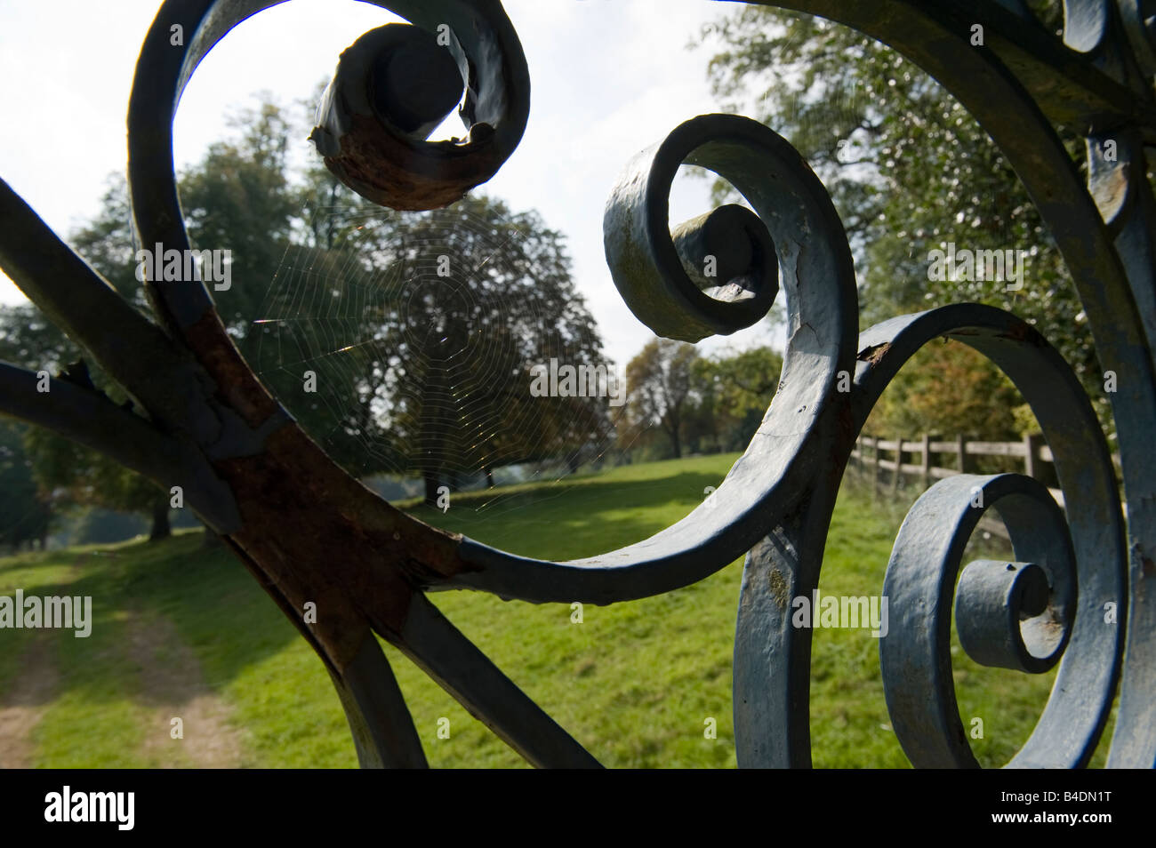 Wrought Iron Gates with Spiders Web - 1 Stock Photo - Alamy