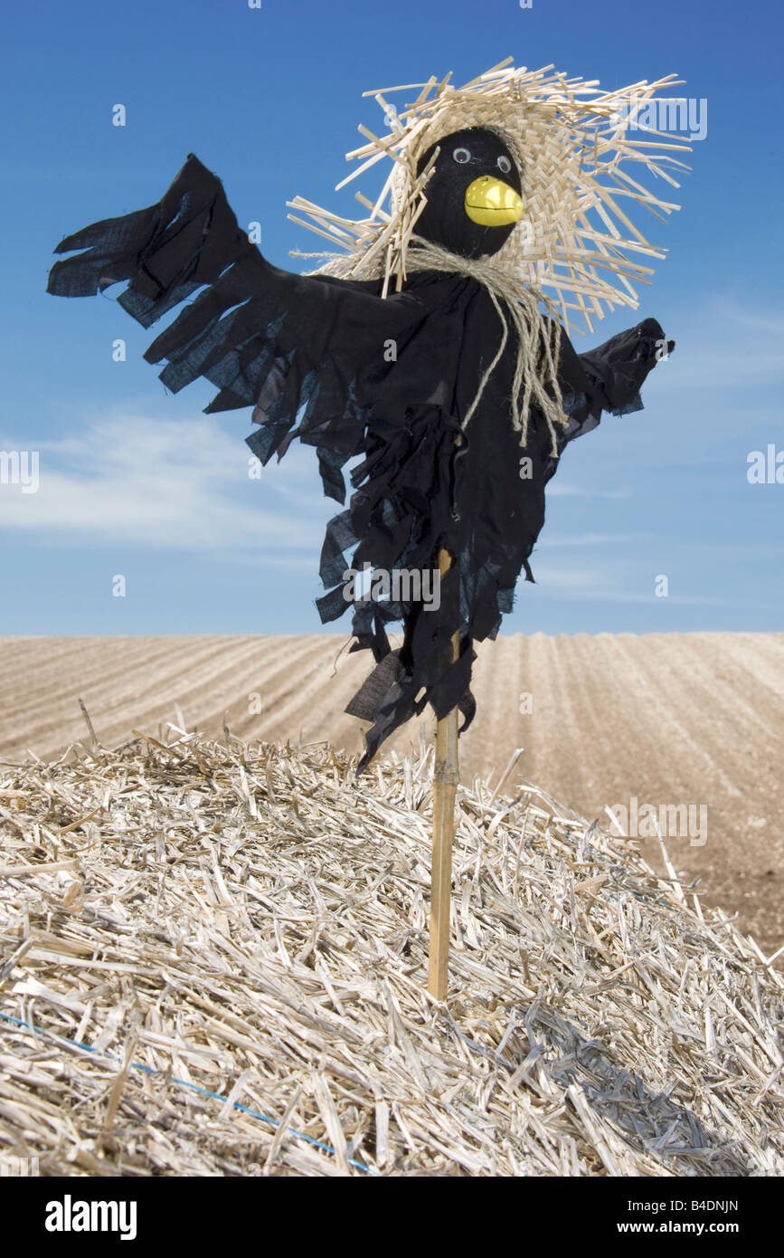 Scarecrow in a field Stock Photo - Alamy