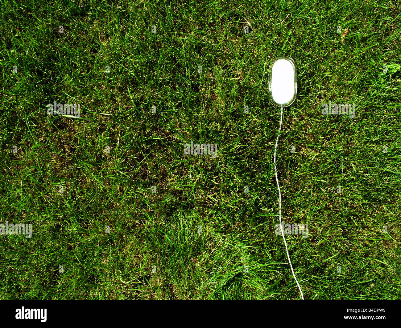 Tech summer design grass hi-res stock photography and images - Alamy
