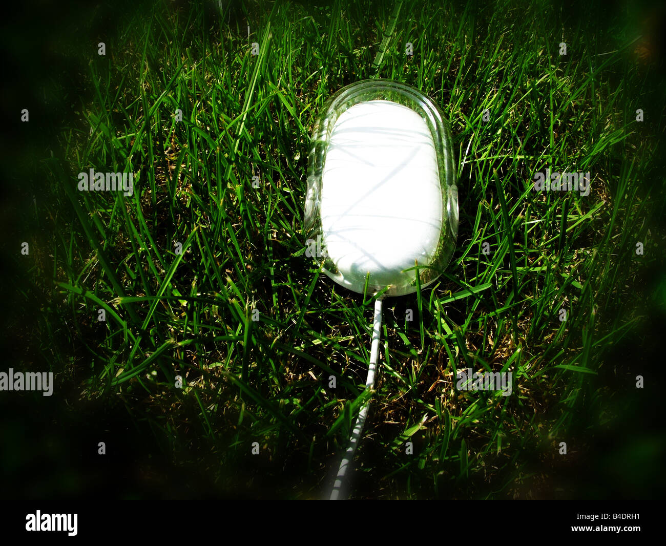 Scrolling grass design hi-res stock photography and images - Alamy