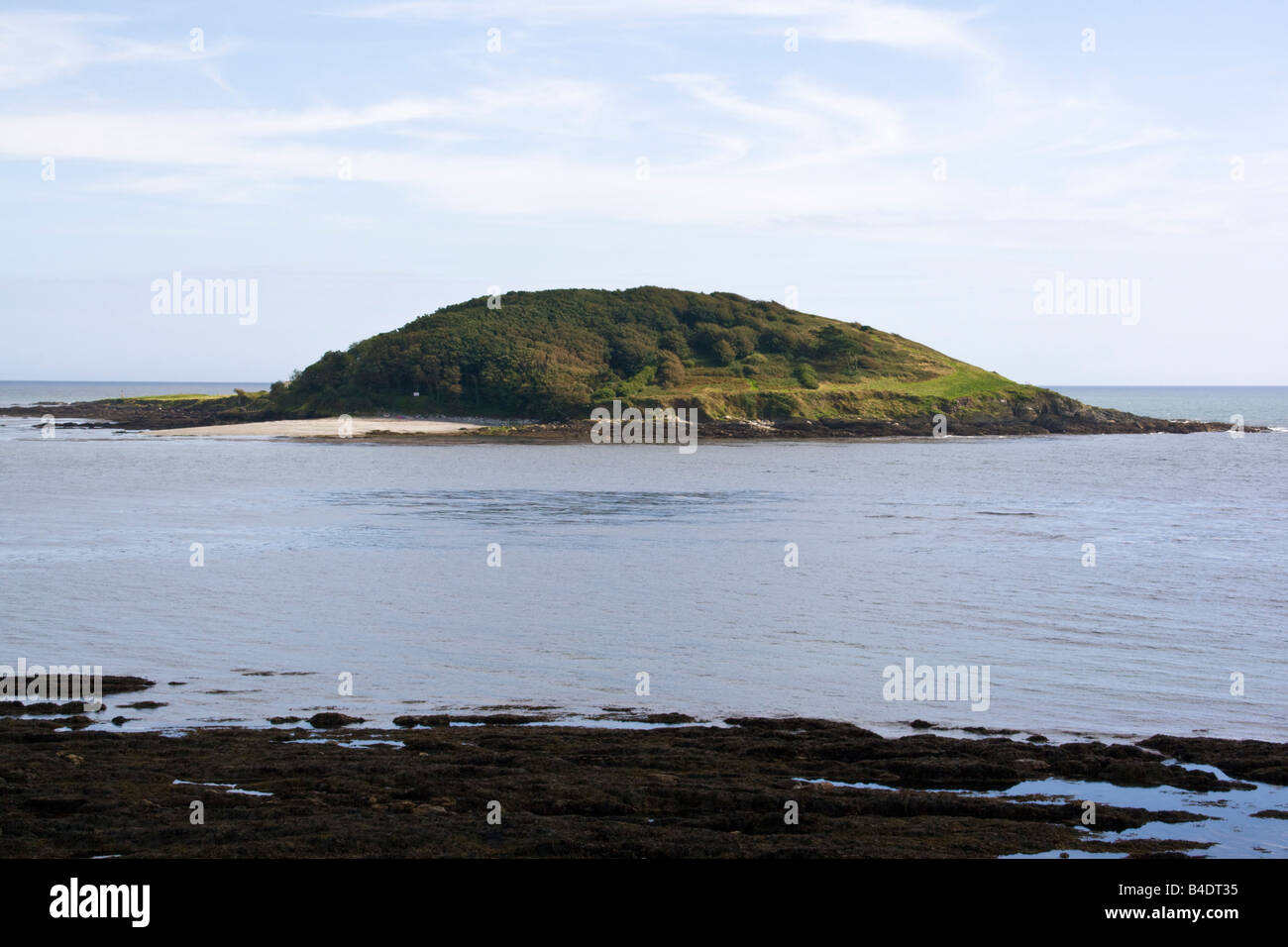 Looe Island as seen from West Looe Stock Photo - Alamy
