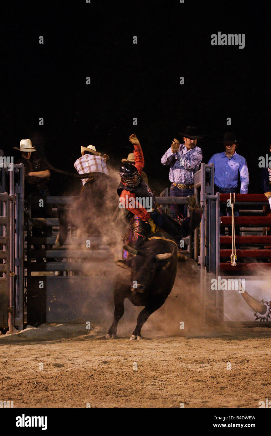 Professional Bull Rider (PBR) riding a bull. Rockdale County Fair ...