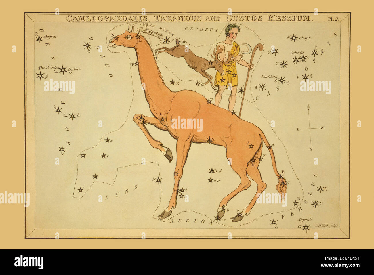 Camelopardalis constellation hi-res stock photography and images - Alamy