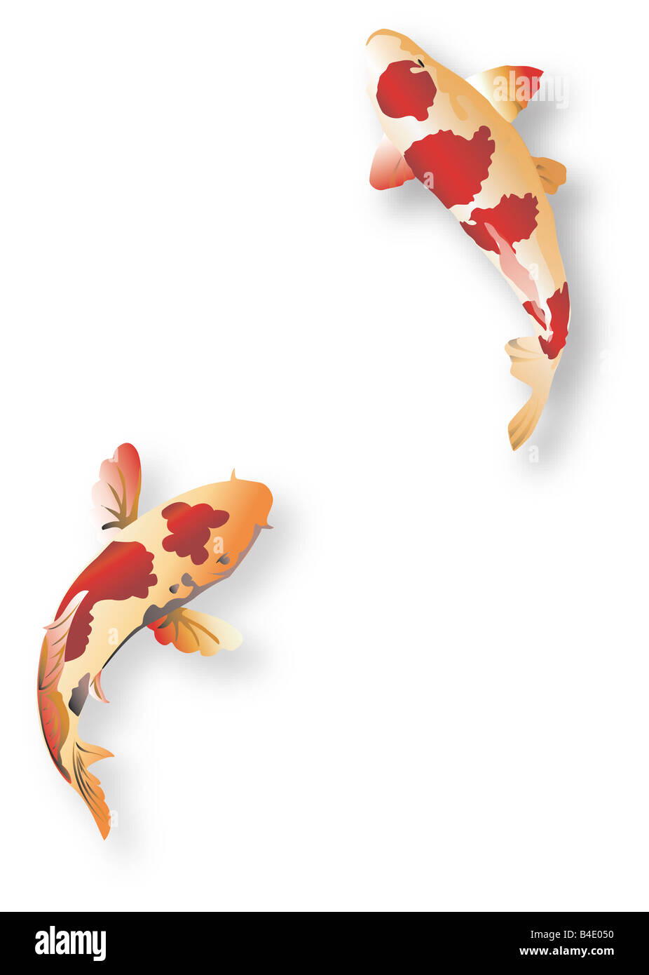 Chinese fish painting Cut Out Stock Images & Pictures - Alamy