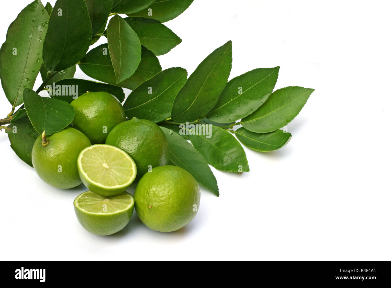 Eating limes hi-res stock photography and images - Alamy
