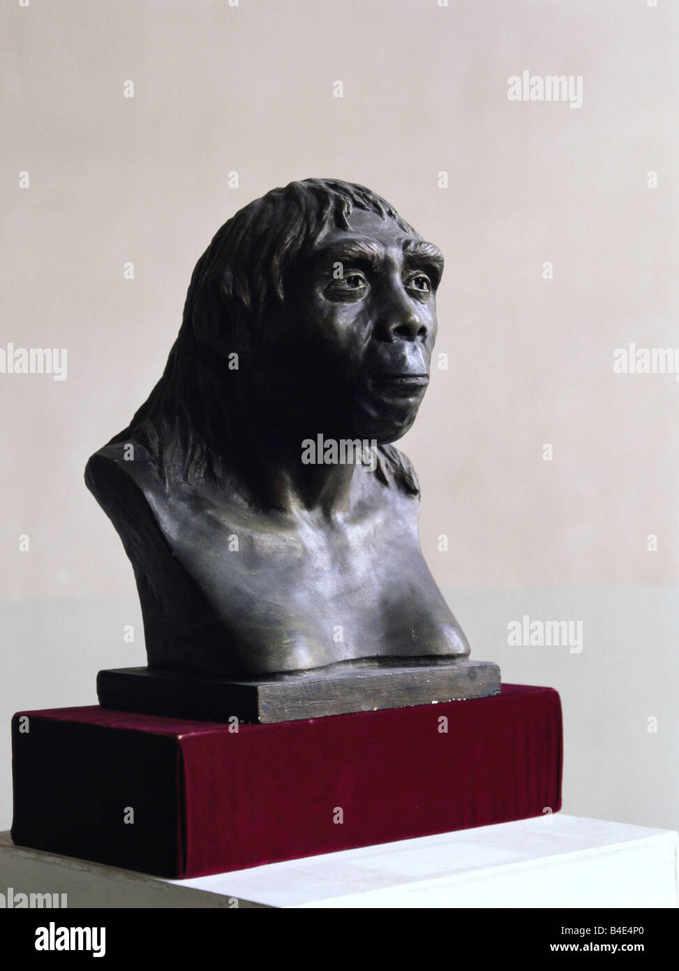 Statue Of Primitive Stock Photo - Alamy