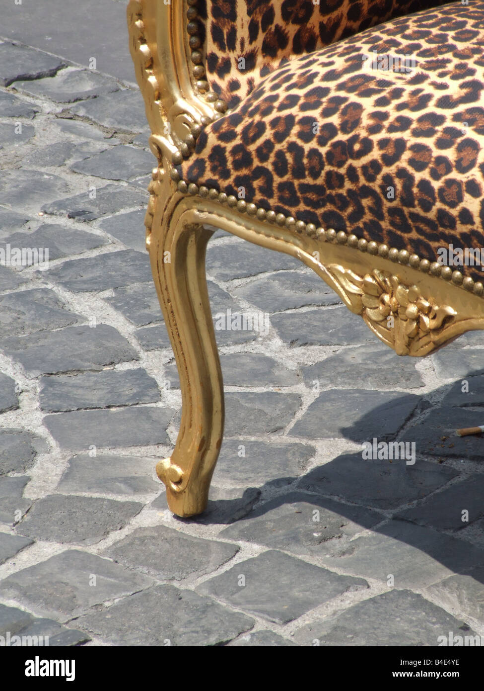 close up detail of expensive leopard skin sofa chair Stock Photo - Alamy