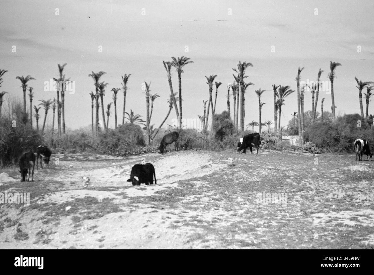 Akka israel hi-res stock photography and images - Alamy