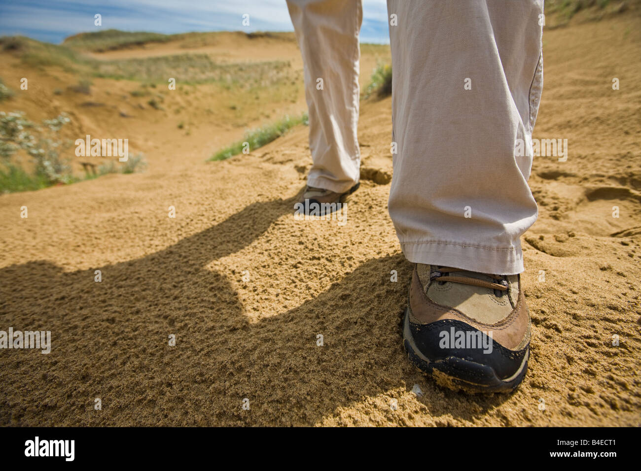 Hiking the Spirit Sands trail, Spruce Woods Provincial Park, Manitoba ...