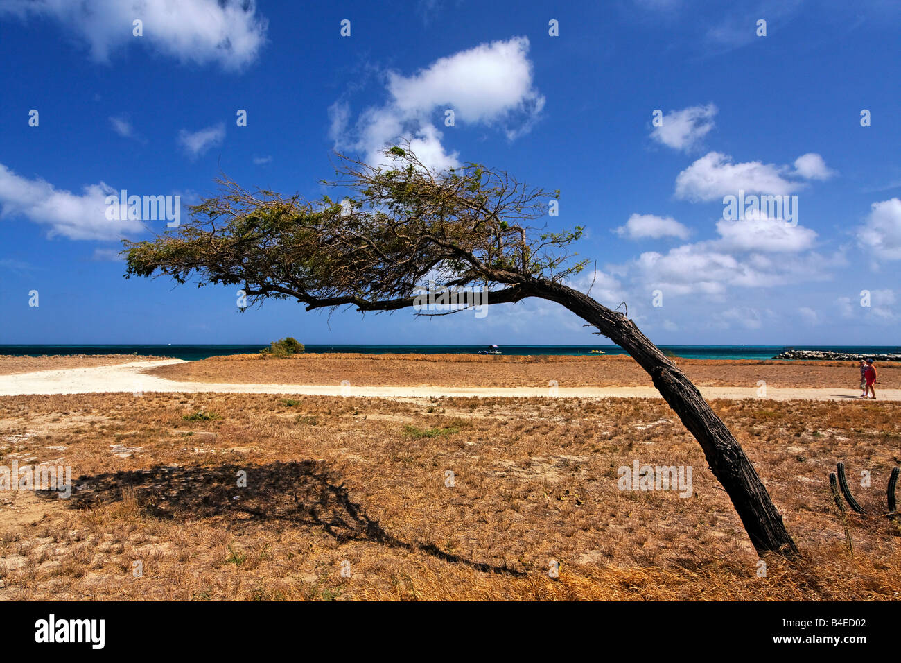 Aruba landschaft hi-res stock photography and images - Alamy