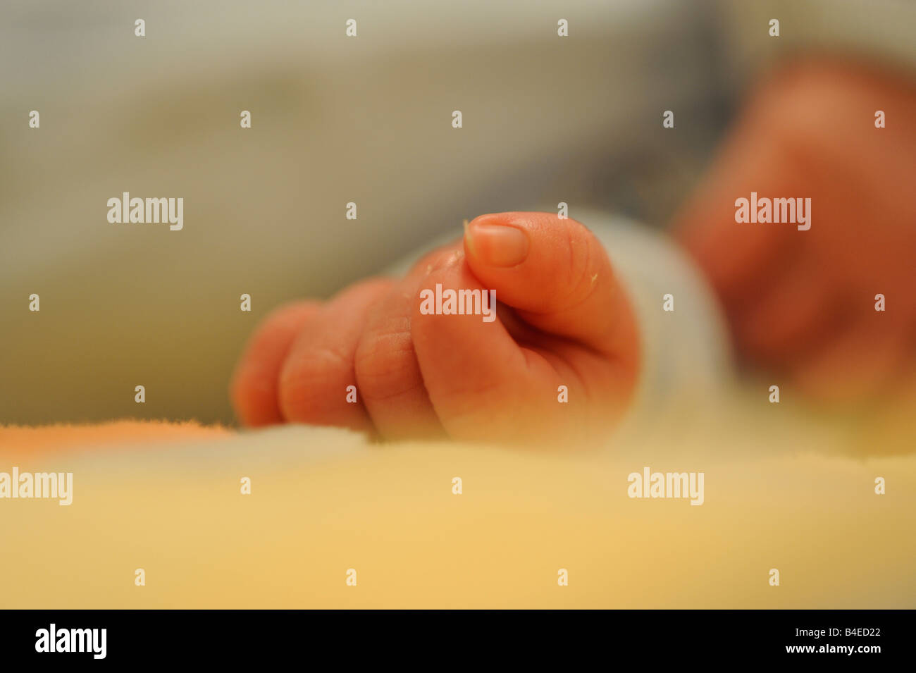 newborn baby hand precious innocence pure beautiful new fresh fingers ...