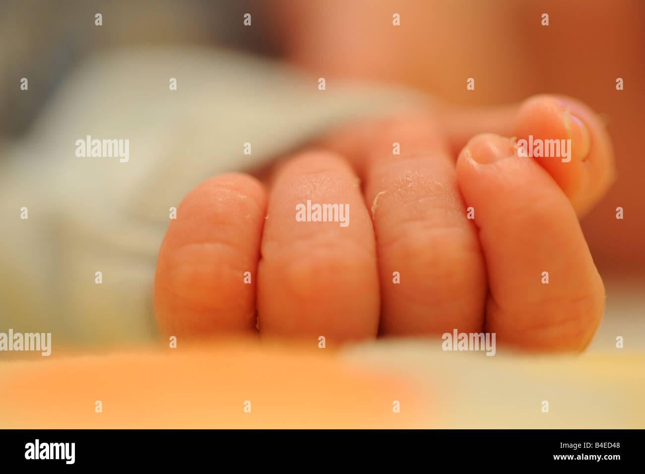 newborn baby hand precious innocence pure beautiful new fresh fingers ...
