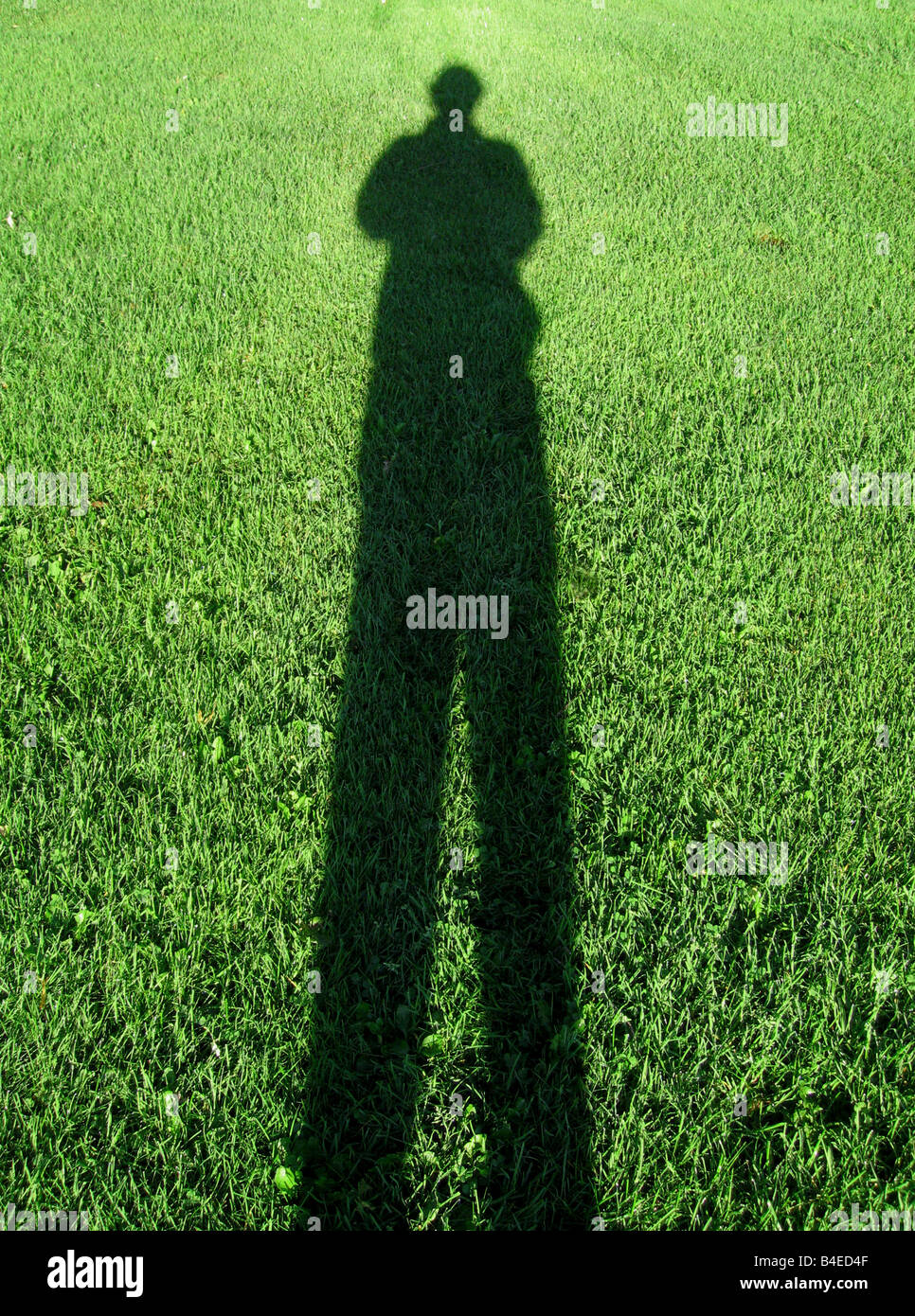 A elongated shadow of a man admiring his lawn Stock Photo - Alamy