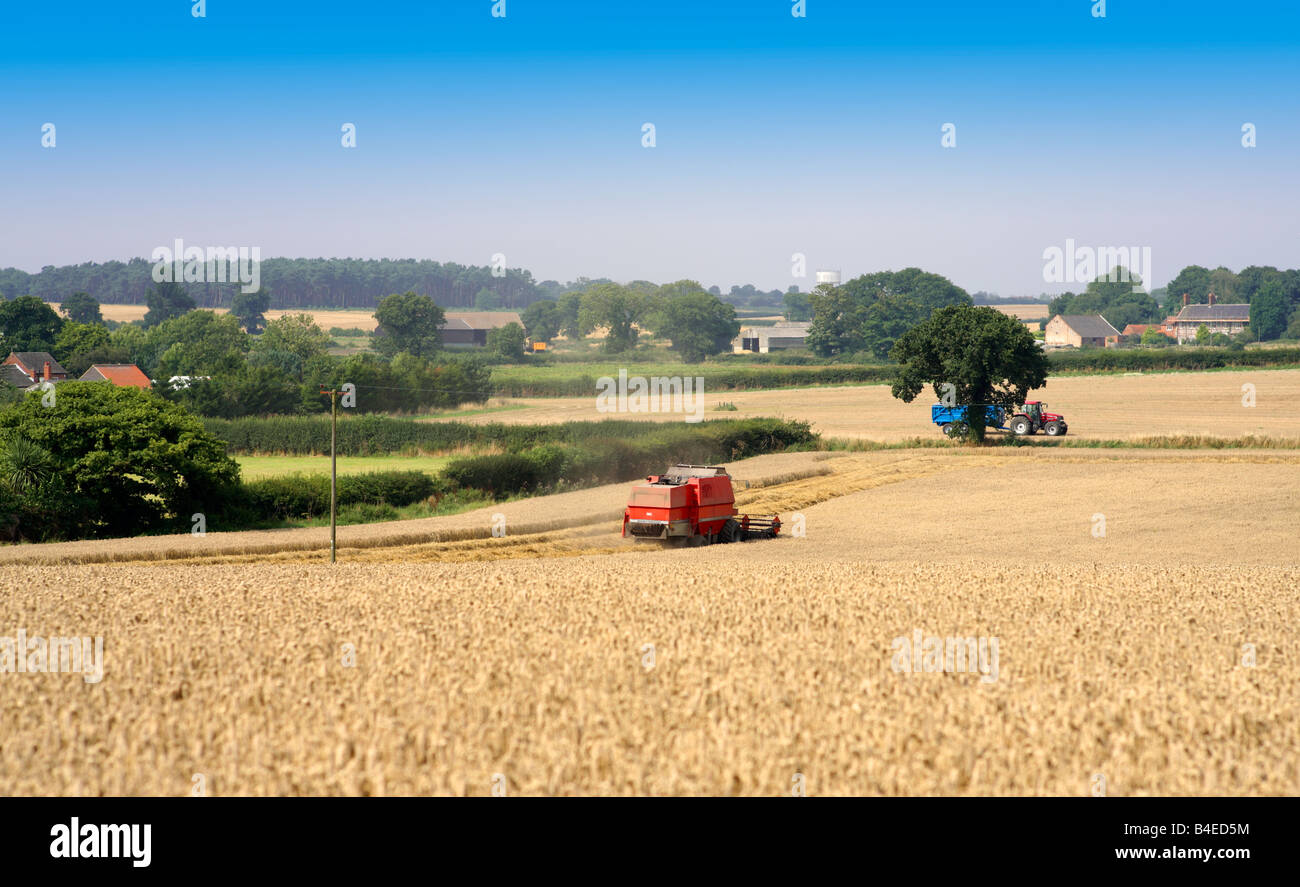 Fine weather farming image hi-res stock photography and images - Alamy