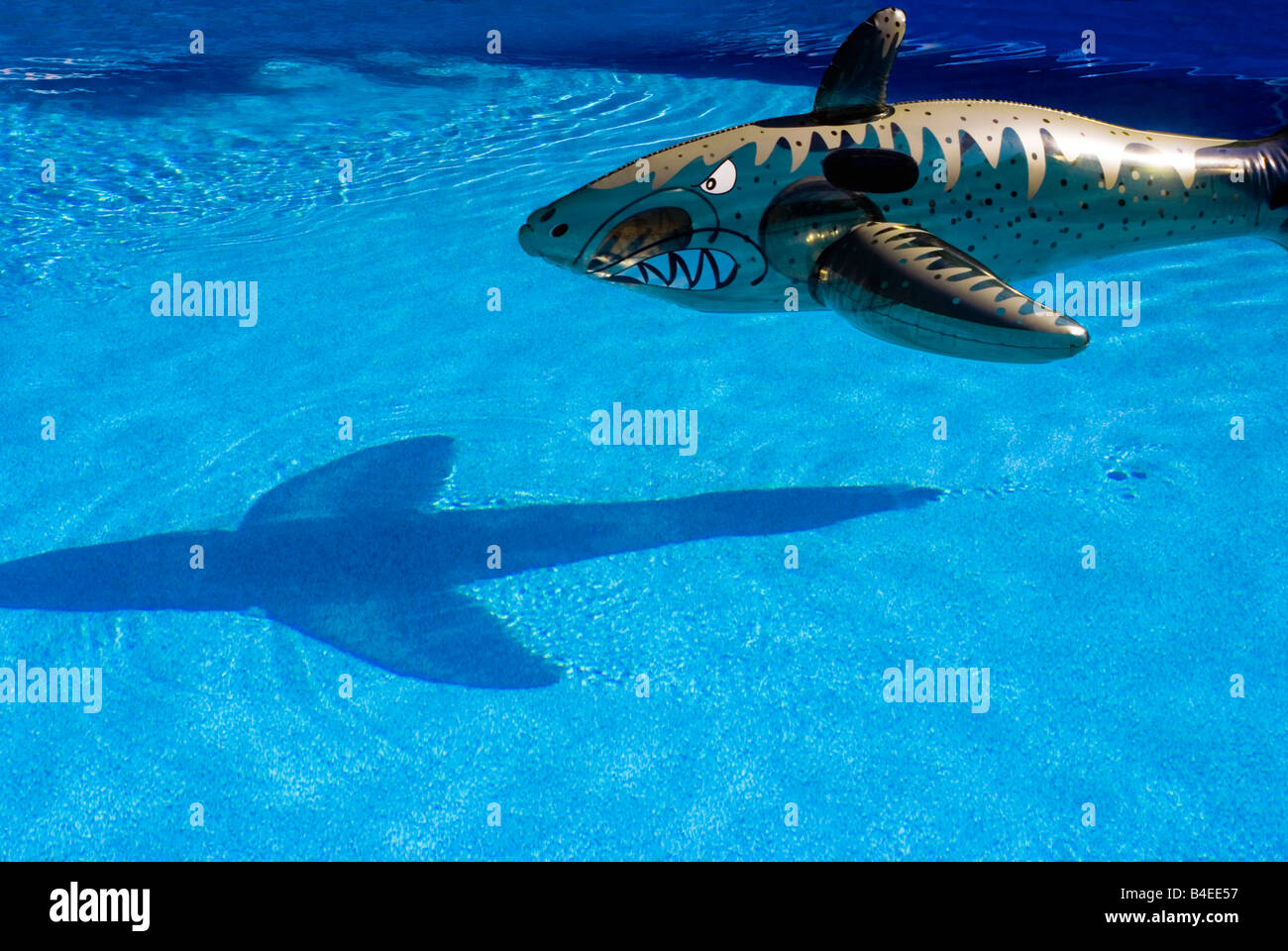 SHARK IN POOL Stock Photo - Alamy