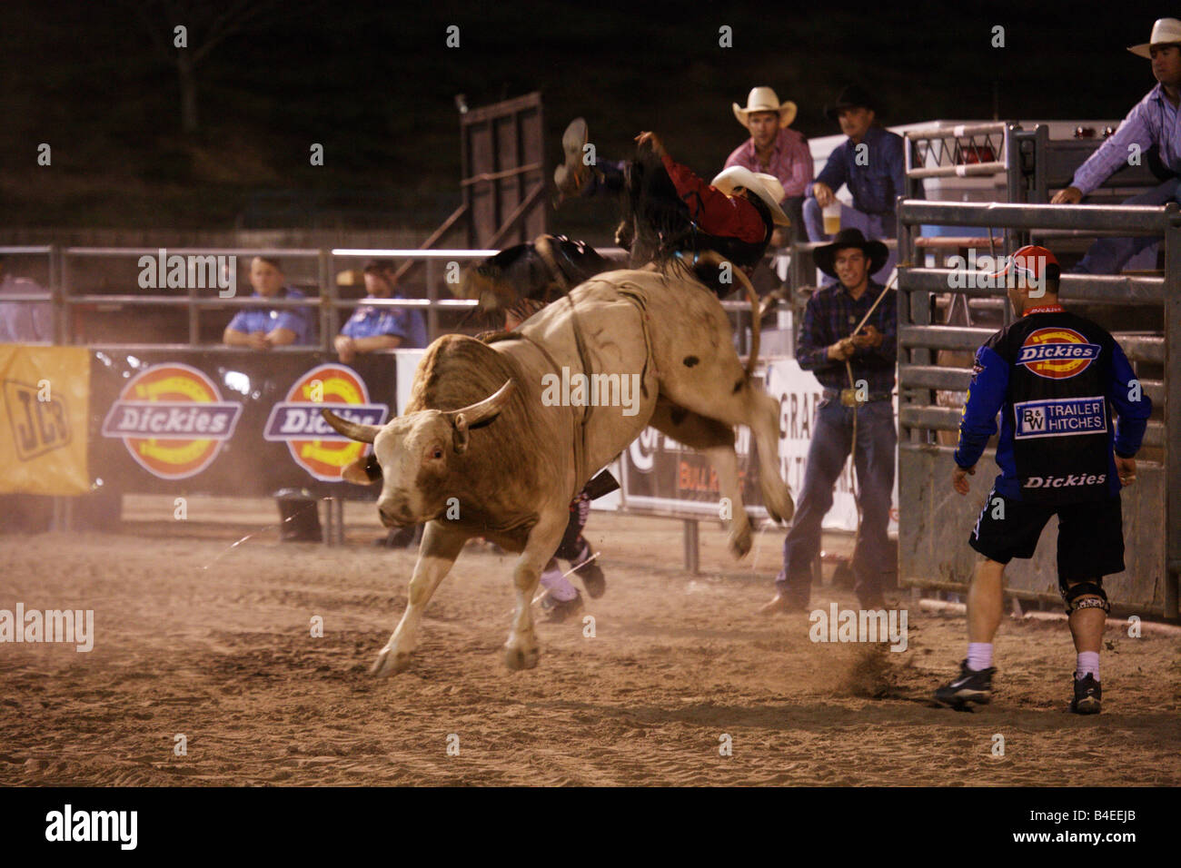 Professional Bull Rider (PBR) riding a bull. Rockdale County Fair ...
