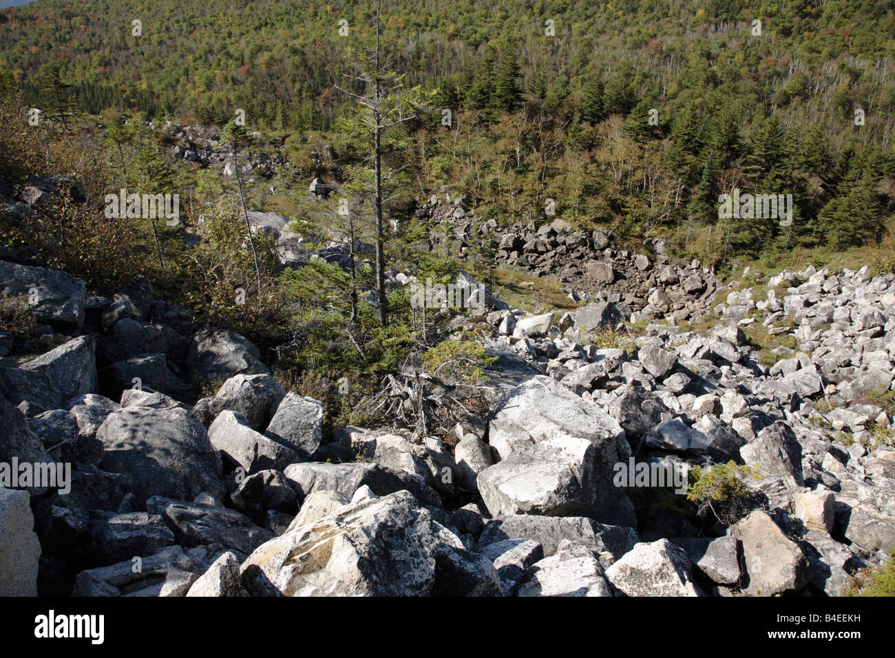 Appalachian Trail talus field on the side of Ethan Pond Trail in the ...