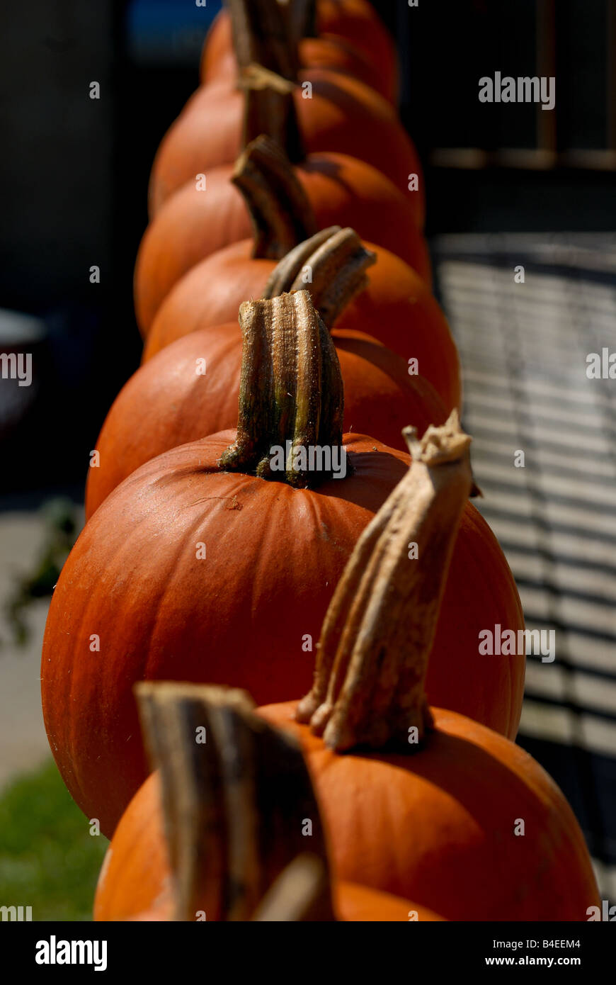Endless row hi-res stock photography and images - Alamy