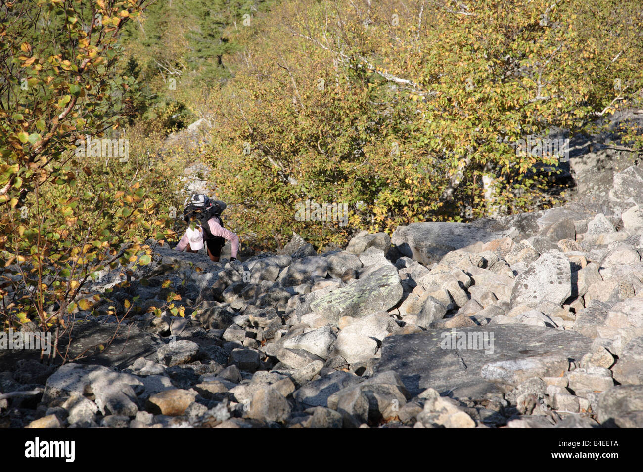 Glacier talus slide scree hi-res stock photography and images - Alamy