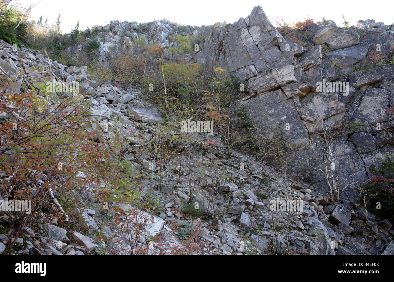 White Mountains, New Hampshire Talus field Stock Photo - Alamy