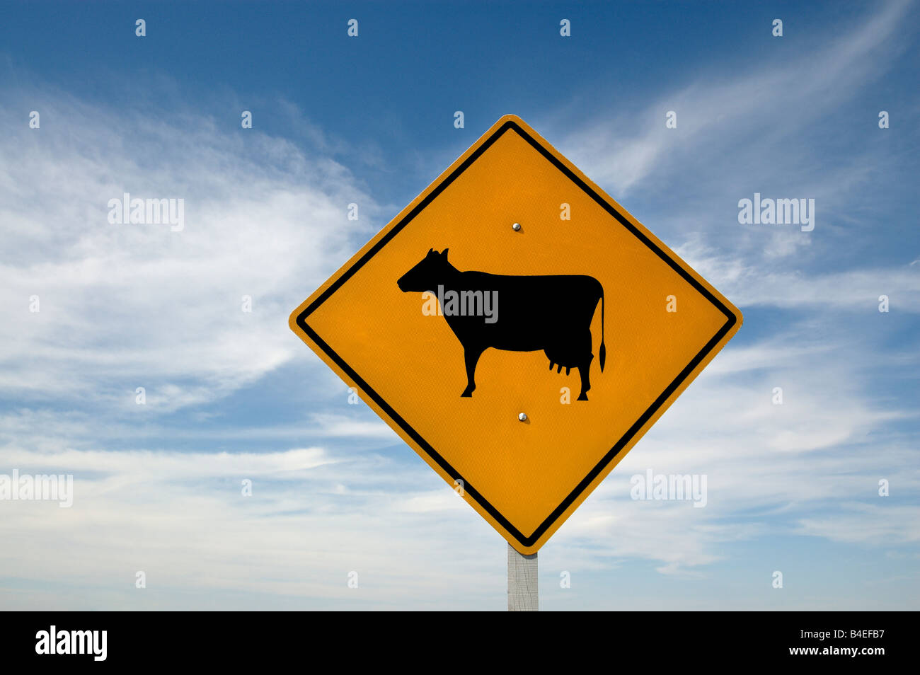 Cow on sign hi-res stock photography and images - Alamy