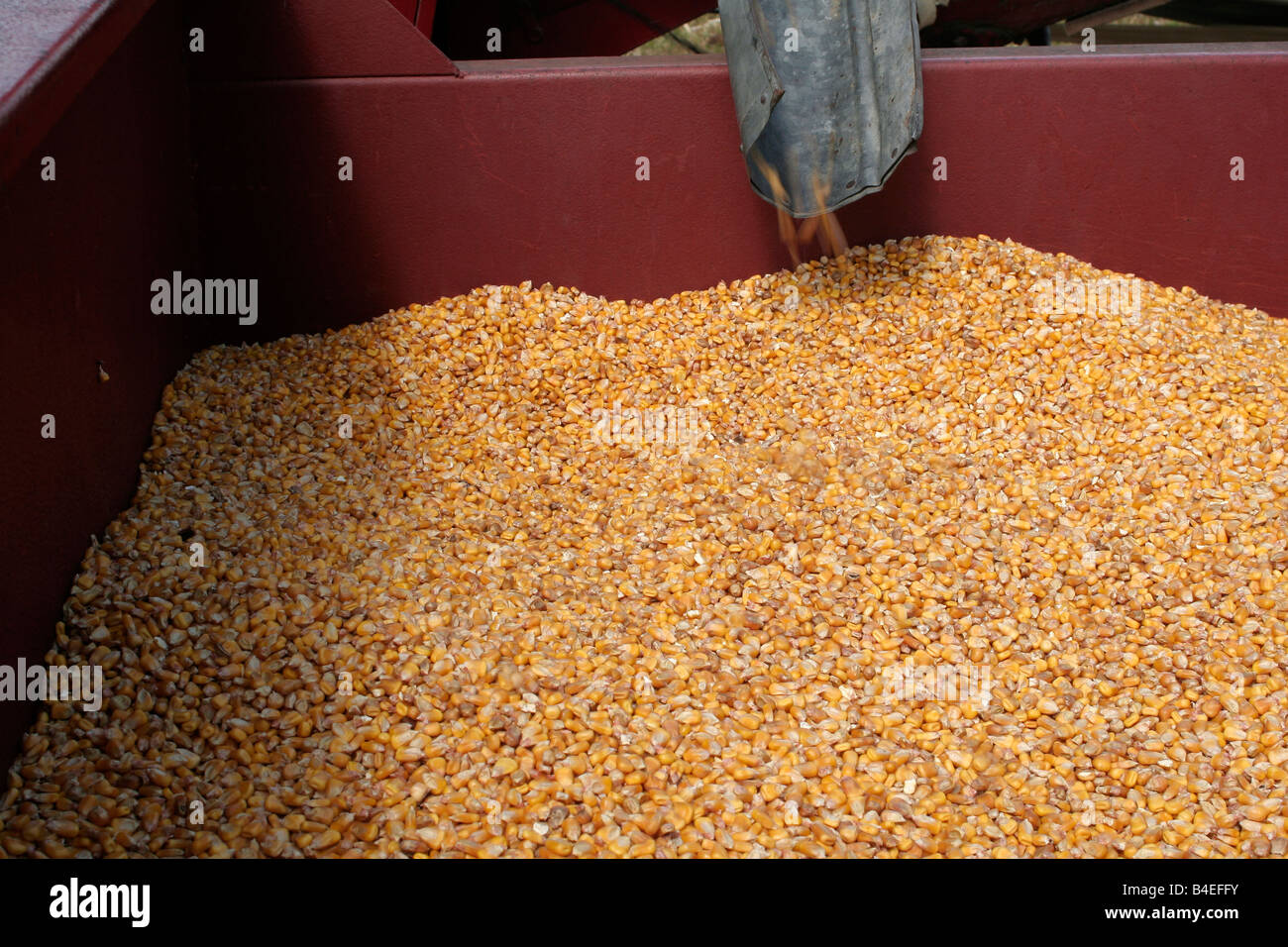 Corn hopper hi-res stock photography and images - Alamy