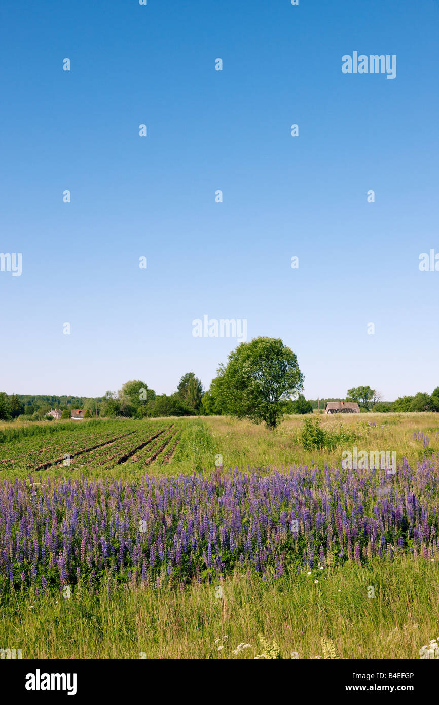 Kaluga plant russia hi-res stock photography and images - Alamy