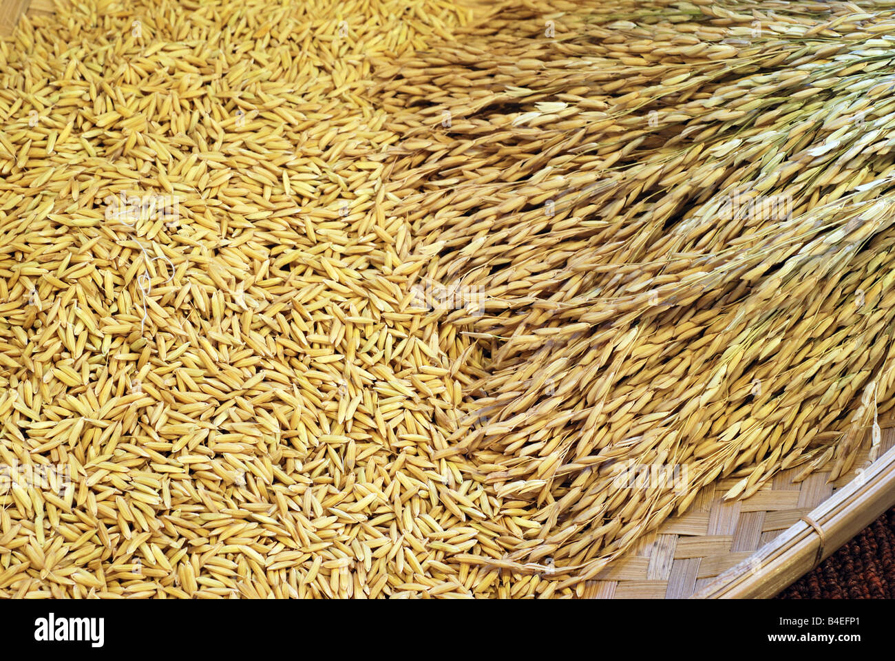 Rice grains in bamboo sieve Stock Photo - Alamy
