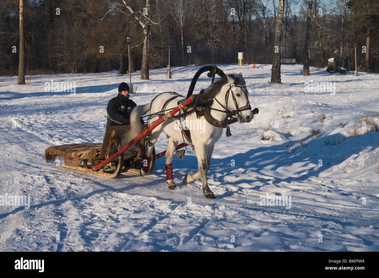 A man driving in an old-fashion wooden sledge in vicinity of Moscow ...