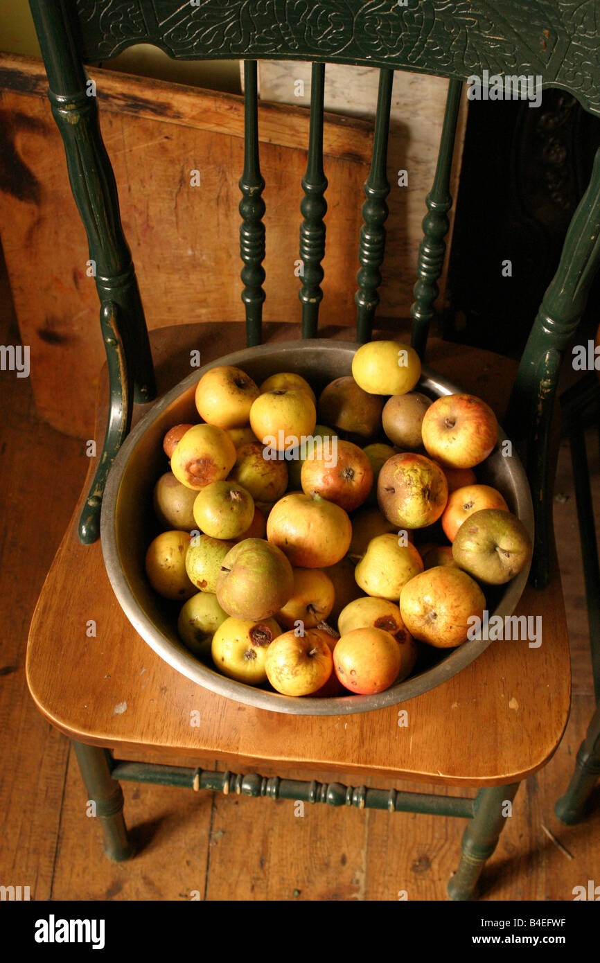 Scrumping apples hi-res stock photography and images - Alamy