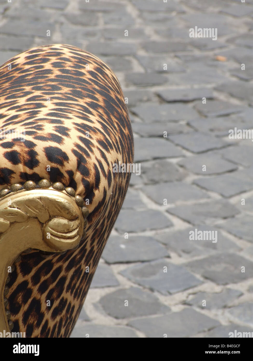 close up detail of expensive leopard skin sofa chair Stock Photo - Alamy