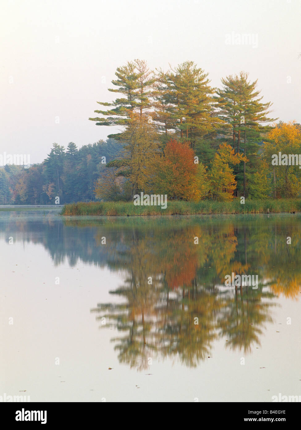 Autumn colors at the Nashua River reservoir at Mine Falls Park in ...