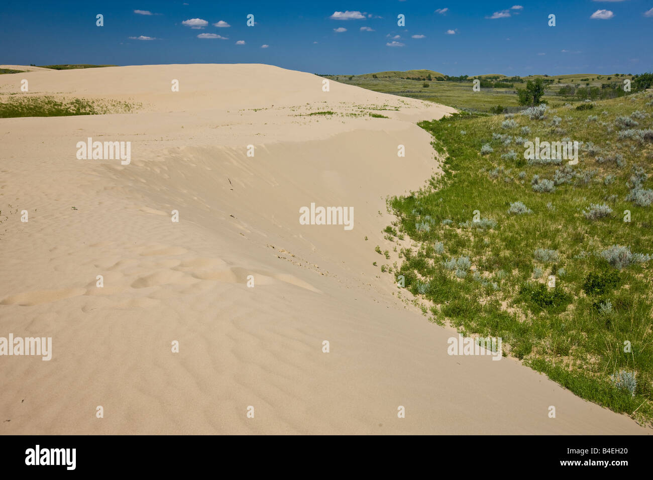 Sand dunes at the Great Sand Hills, near Sceptre, Saskatchewan, Canada ...