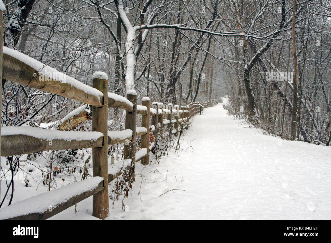 Forest hiking trail of during snow storm in Toronto Ontario Canada ...