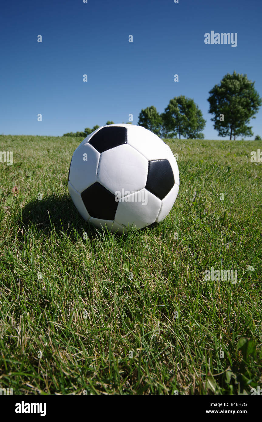 Soccer ball in grass with trees in background Stock Photo - Alamy
