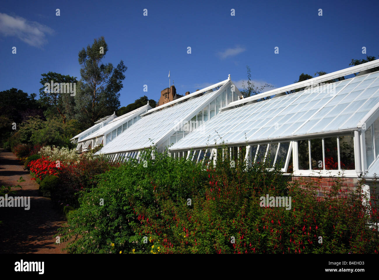 the glasshouses of Crathes Castle one of the National Trust for ...