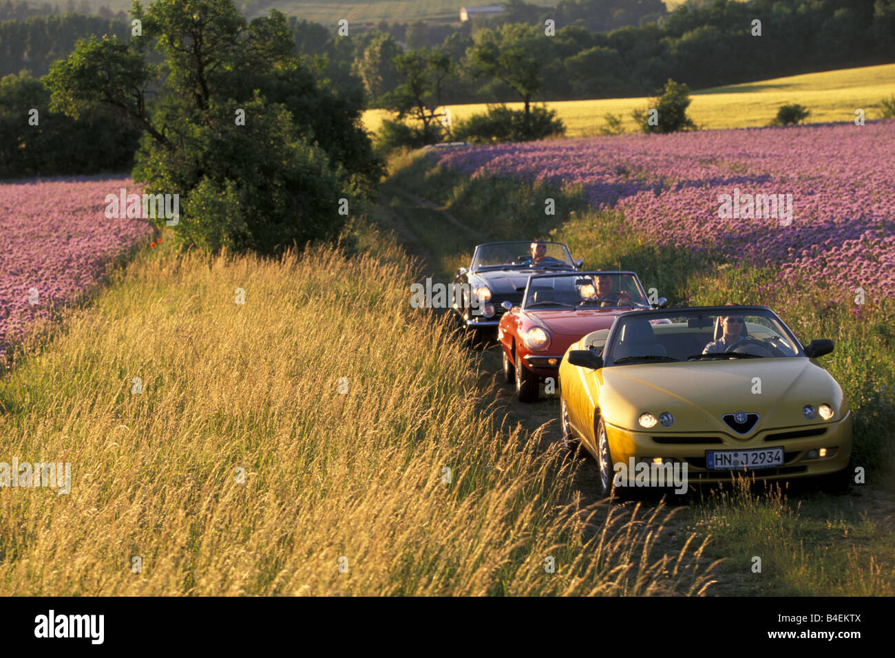 Car, 90 years Alfa Romeo, landscape, scenery, summer, vintage car ...