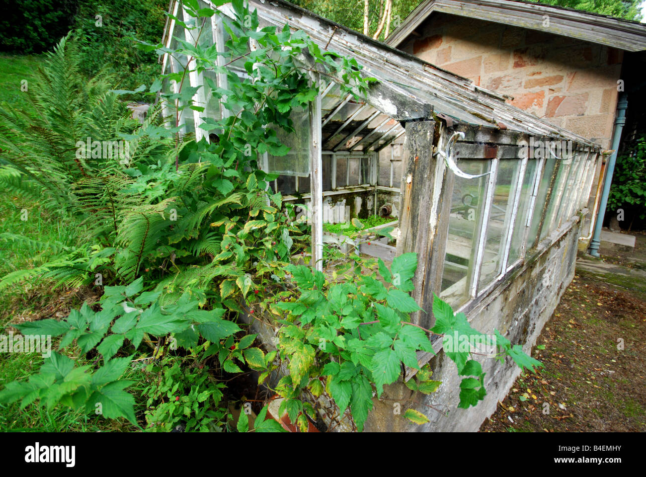 An abandoned and decaying greenhouse Stock Photo - Alamy