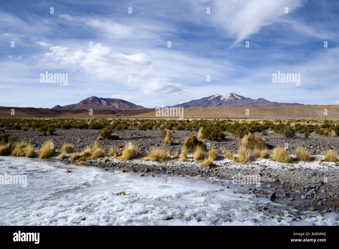 A frozen stream at high altitude in the Andes in Southwest Bolivia ...