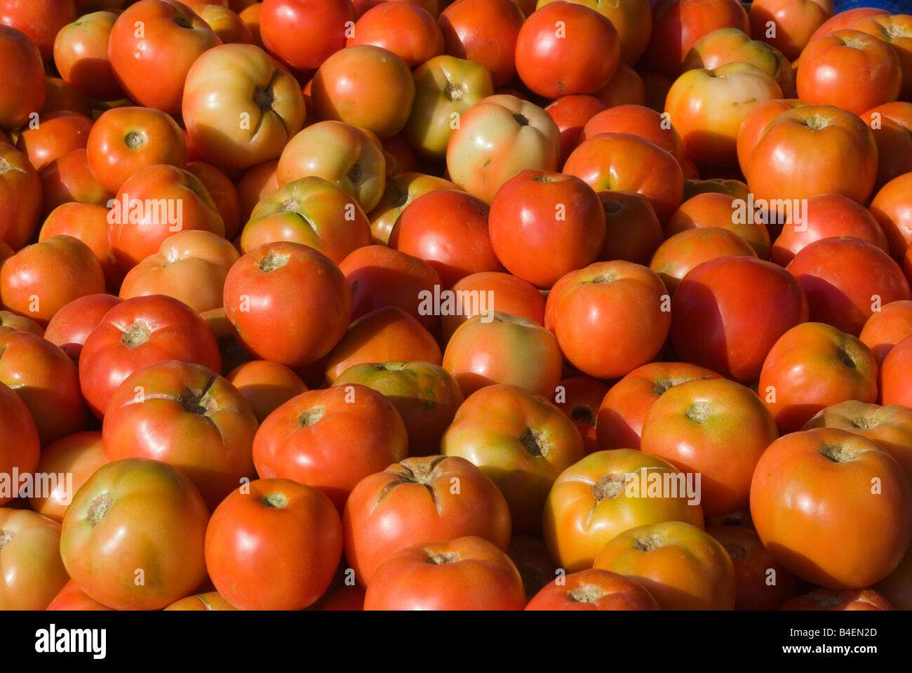 Greece sun ripened tomato hi-res stock photography and images - Alamy