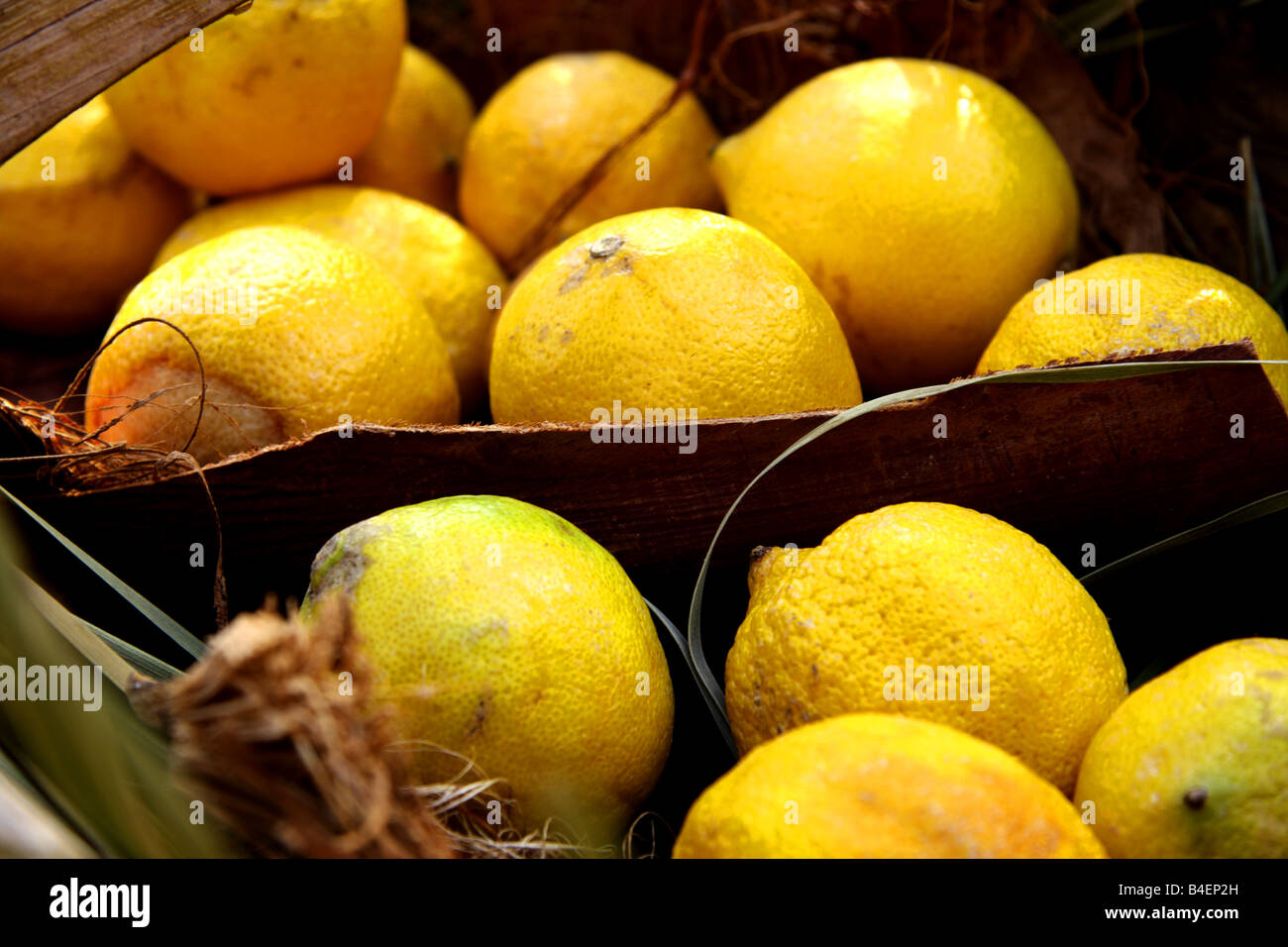 Lemons drying in the sun in a traditional trough Stock Photo - Alamy