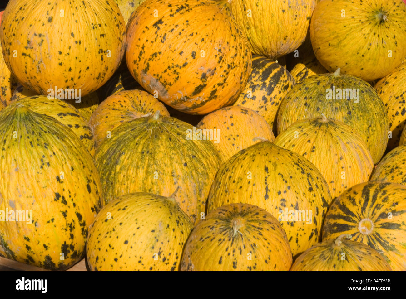 Fresh Yellow Melons for Sale at Lavrion Fruit and Vegetable Market ...