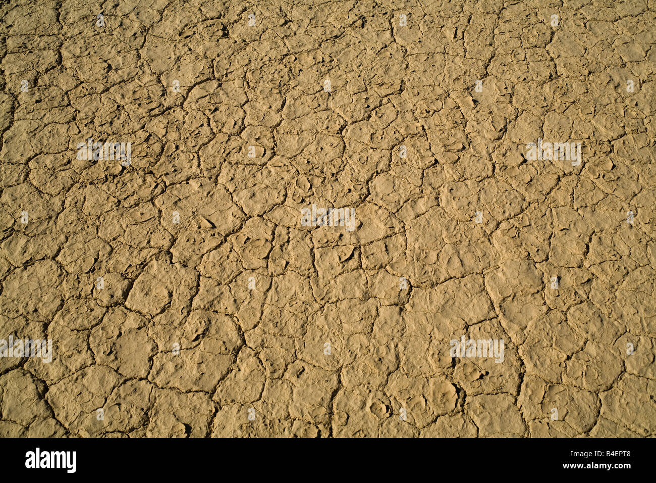 Dry lake bed The Racetrack Death Valley California USA arid drought ...